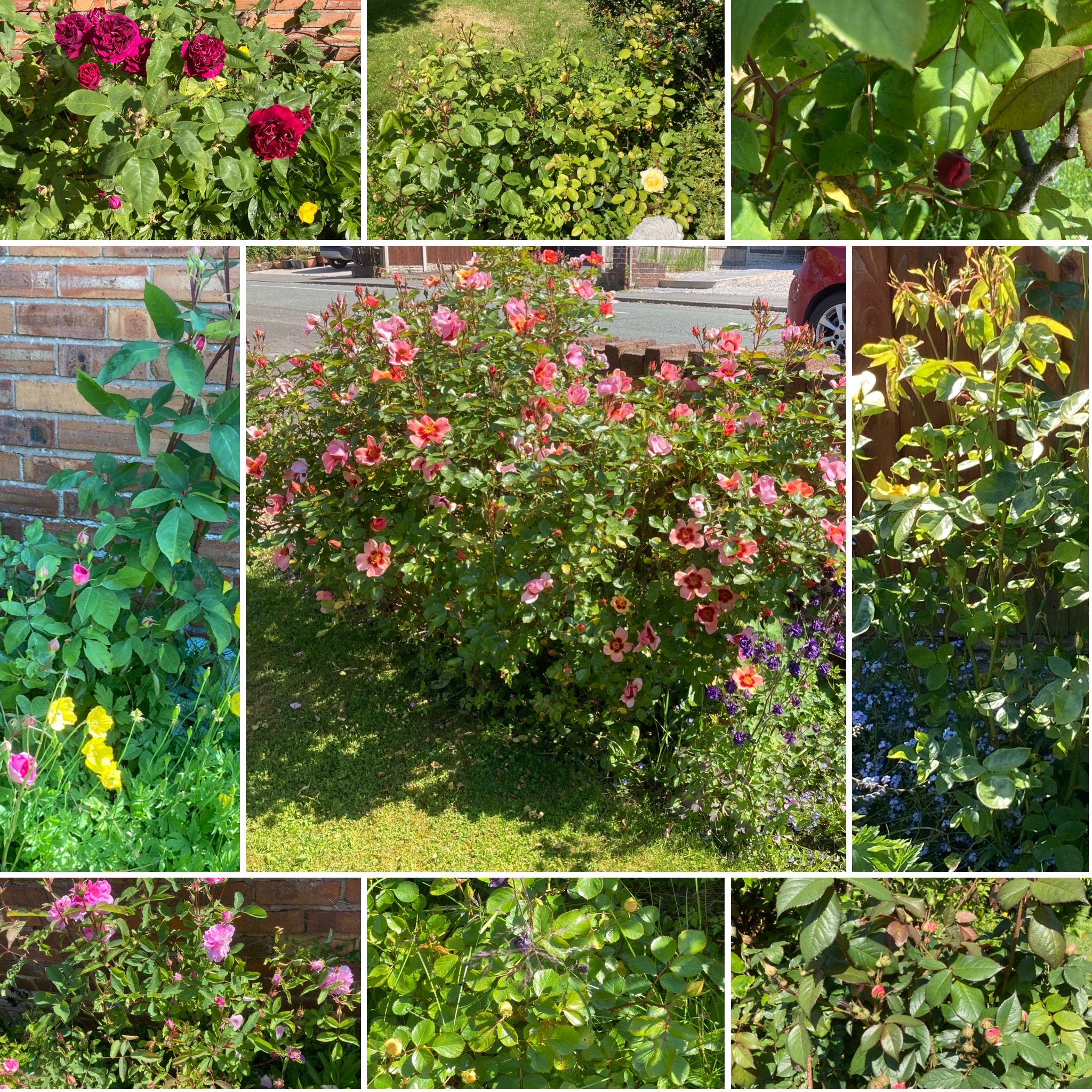 Second Time Lucky – Kath Andrews Designs